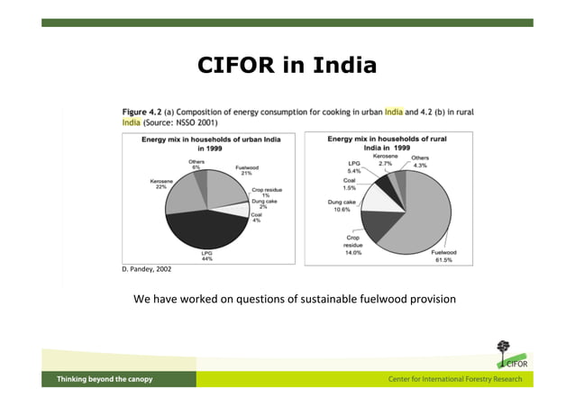 CIFOR in India and South Asia | PDF | Geography | Science