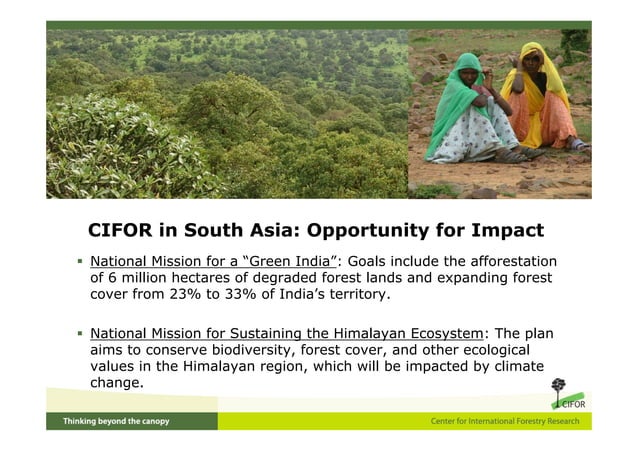 CIFOR in India and South Asia | PDF | Geography | Science