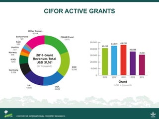 CIFOR overview | PPTX