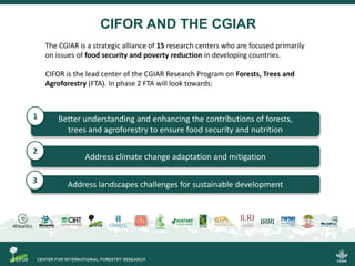 CIFOR overview | PPTX