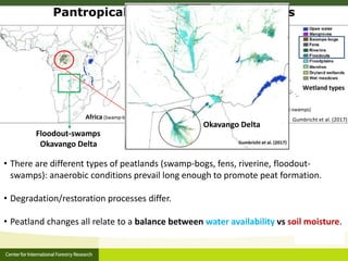 A new methodology for monitoring peatland degradation: Case study of ...