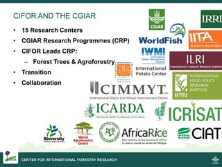 CIFOR: Stepping up to the new Global Development Agenda | PPTX