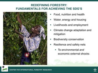 CIFOR: Stepping up to the new Global Development Agenda | PPTX