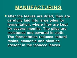 Cigar cutting and smoking | PPT