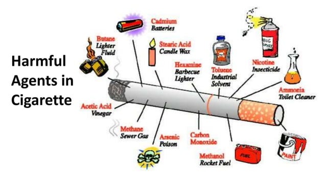 Cigarette smoking and its ill effects | PPTX