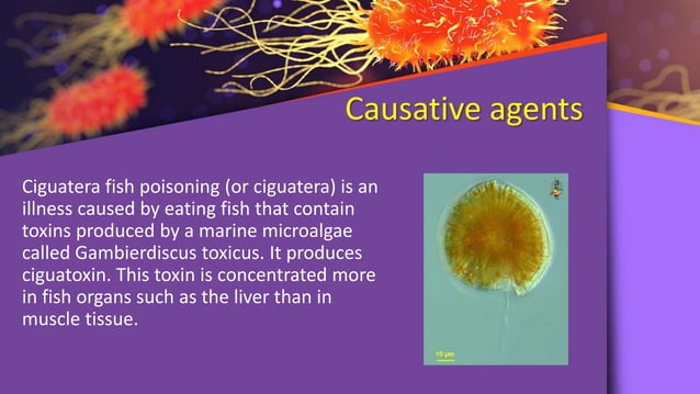Ciguatera Poisoning.pptx