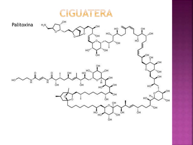 Ciguatera toxina en peces y mariscos | PPT | Descarga Gratuita