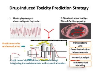 Pharmacology Powered by Computational Analysis: Predicting Cardiotoxicity of Chemotherapeutics ...