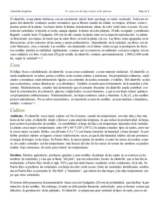 Cilantro guia convertido | DOCX
