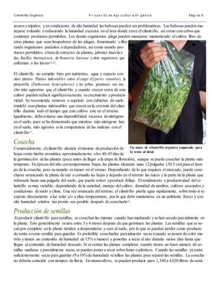Cilantro guia convertido | DOCX