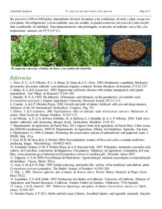 Cilantro guia convertido | DOCX