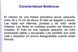 Cilantro ( informatica) | ODP
