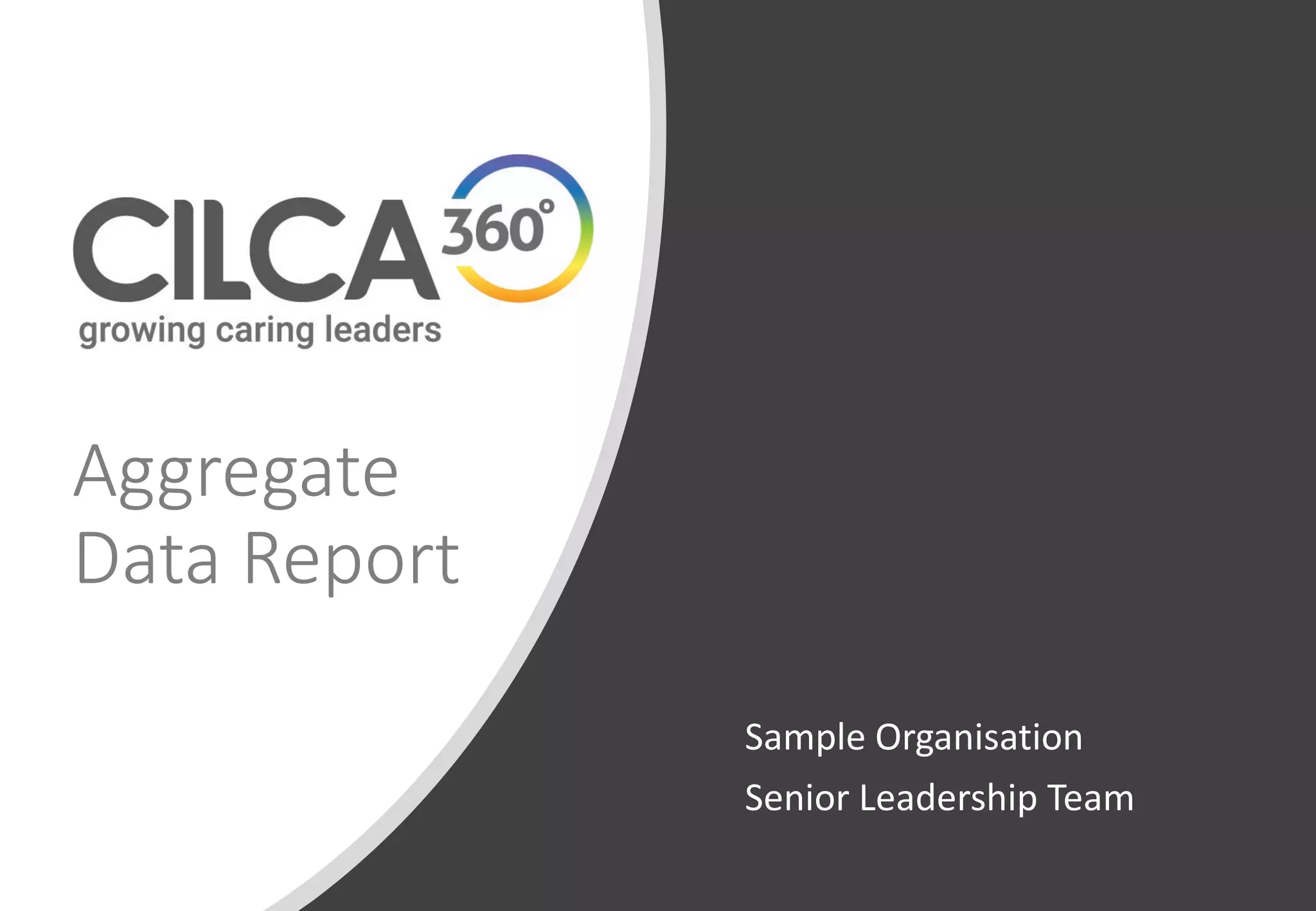 CILCA 360 sample aggregate report | PDF