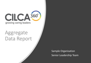 CILCA 360 sample aggregate report | PDF