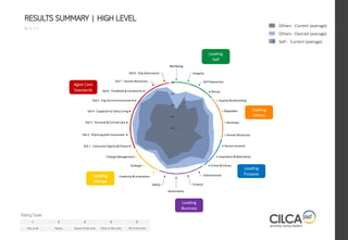 CILCA 360 sample aggregate report | PDF