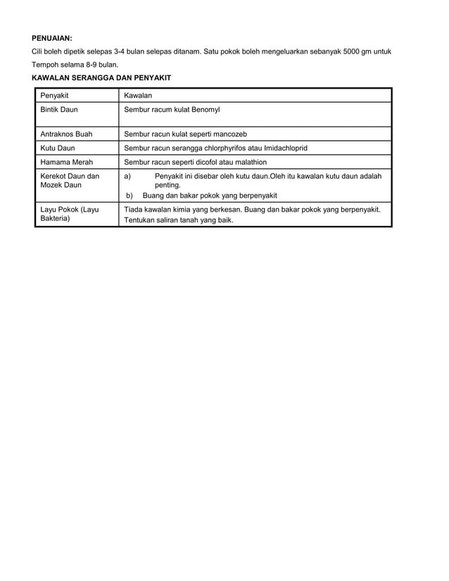 Cili Api Panduan Menanam | PDF