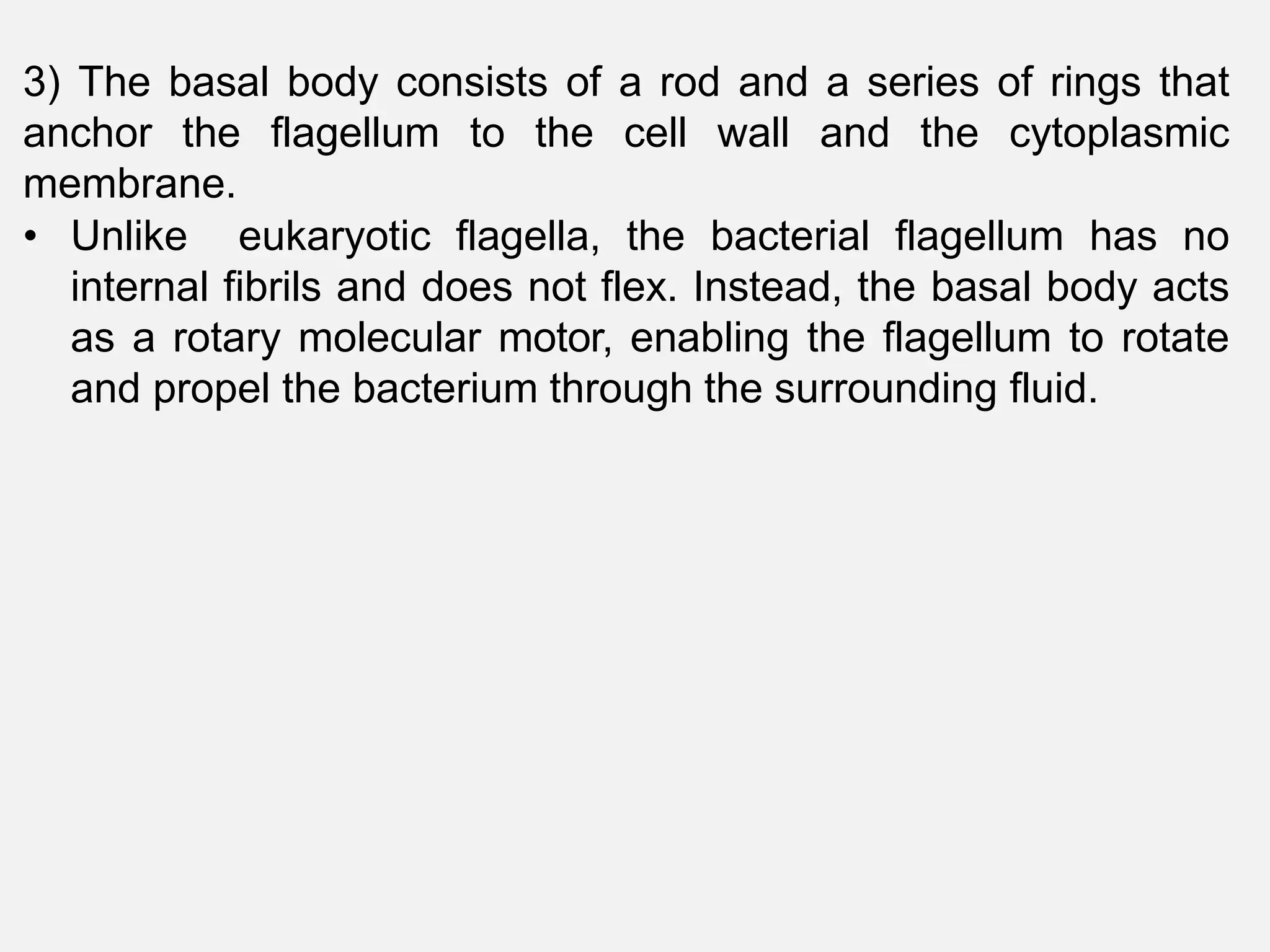 cilia_and_flagella.pptx _cell movement_cell | PPTX