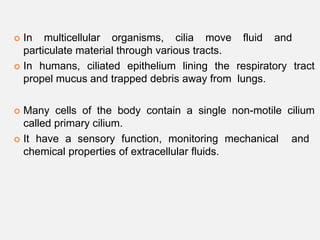 cilia_and_flagella.pptx _cell movement_cell | PPTX