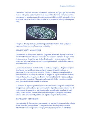 Ciliados biologia | PDF