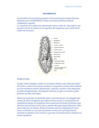 Ciliados biologia | PDF