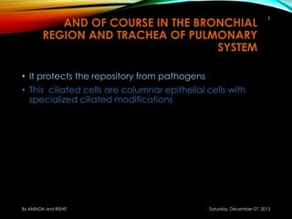 Ciliated cell | PPTX