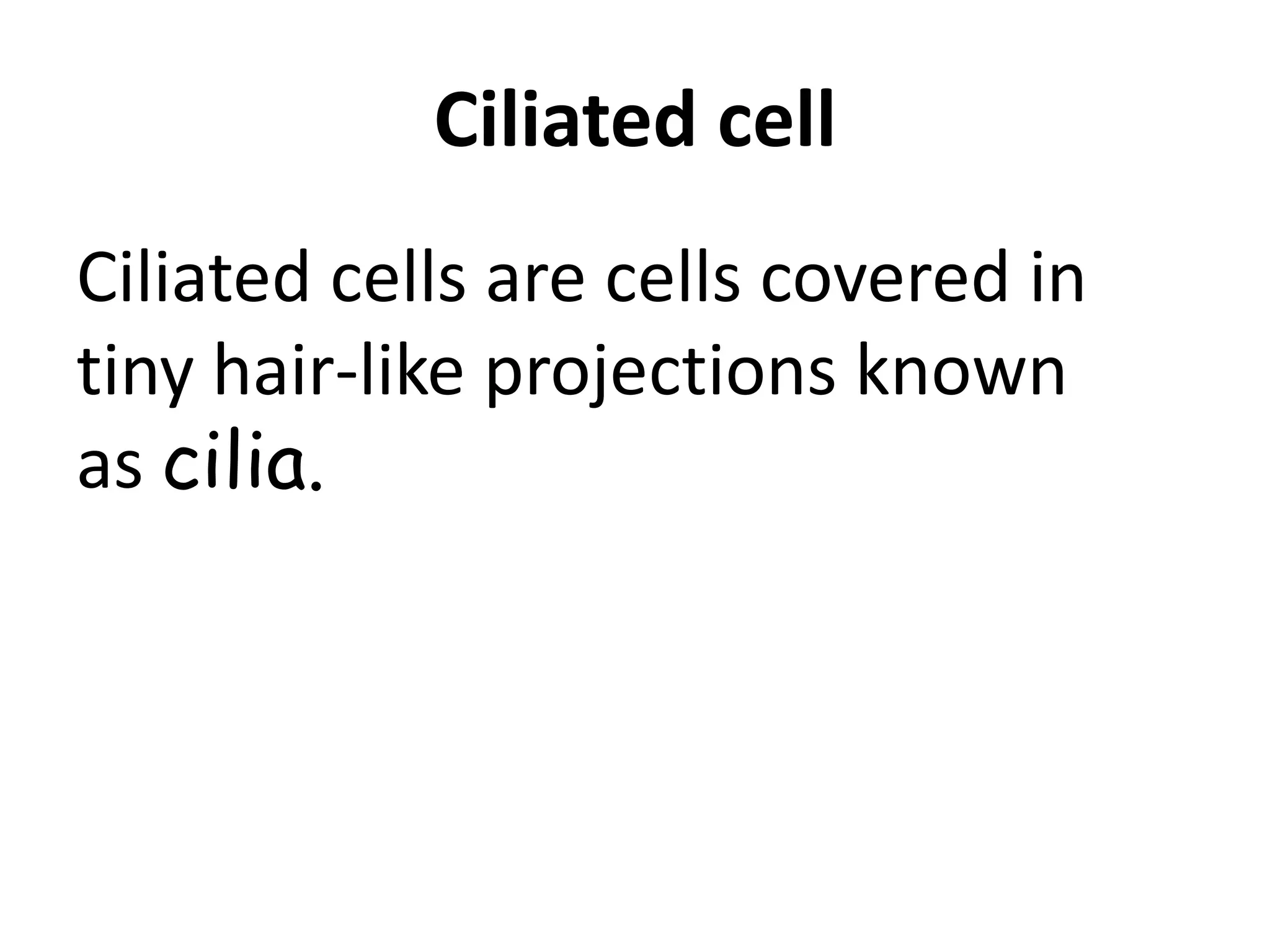 Ciliated cell in respiratory tract (3) | PPTX