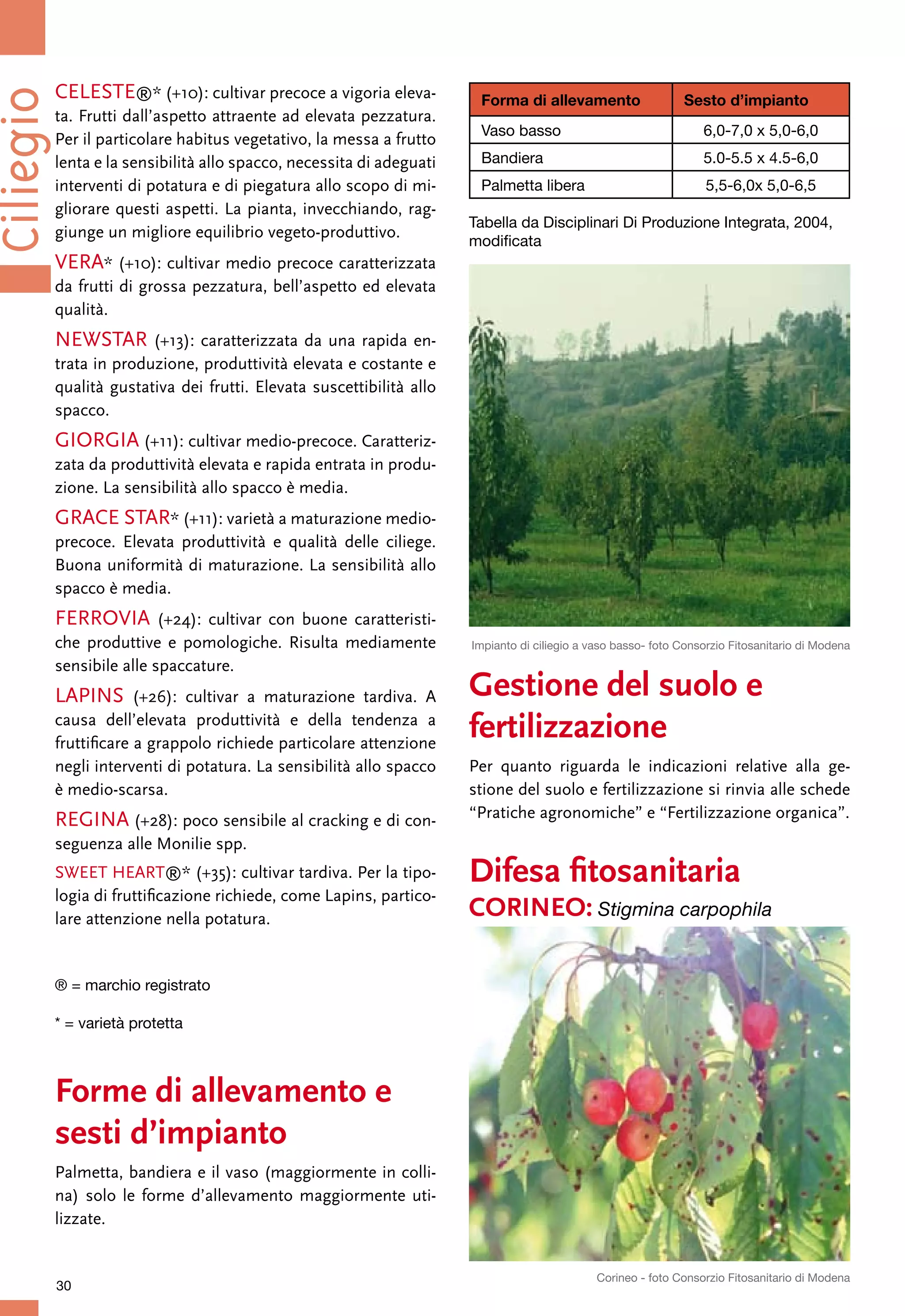 Ciliegio in Agricoltura Biologica | PDF