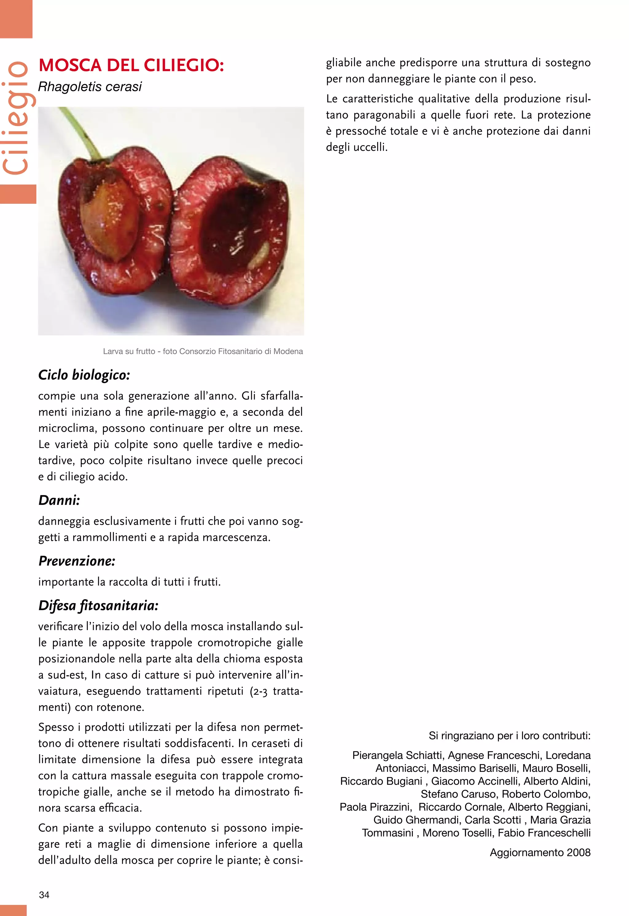 Ciliegio in Agricoltura Biologica | PDF