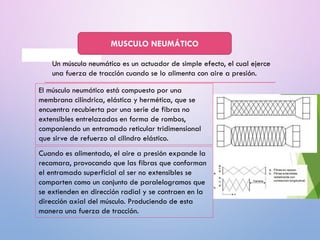 CILINDROS NEUMÁTICOS Y TIPOS DE CILINDROS NEUMATICOS.pdf