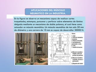CILINDROS NEUMÁTICOS Y TIPOS DE CILINDROS NEUMATICOS.pdf