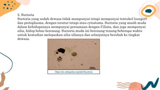 CILIOPHORA dan SPOROZOA.pptx