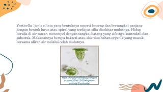 CILIOPHORA dan SPOROZOA.pptx