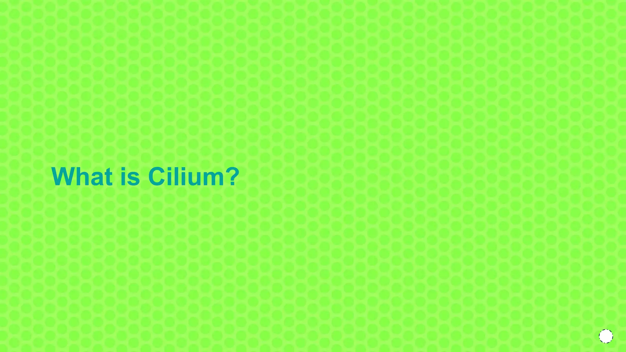 Cilium - overview and recent updates | PDF