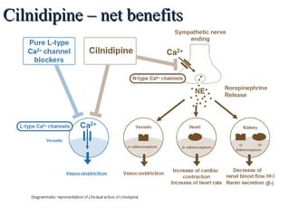 Cilnidipine | PPT
