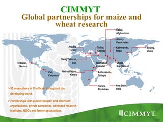 Cimmyt In Africa 2009 | PPT