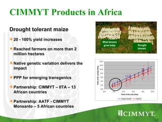Cimmyt In Africa 2009 | PPT