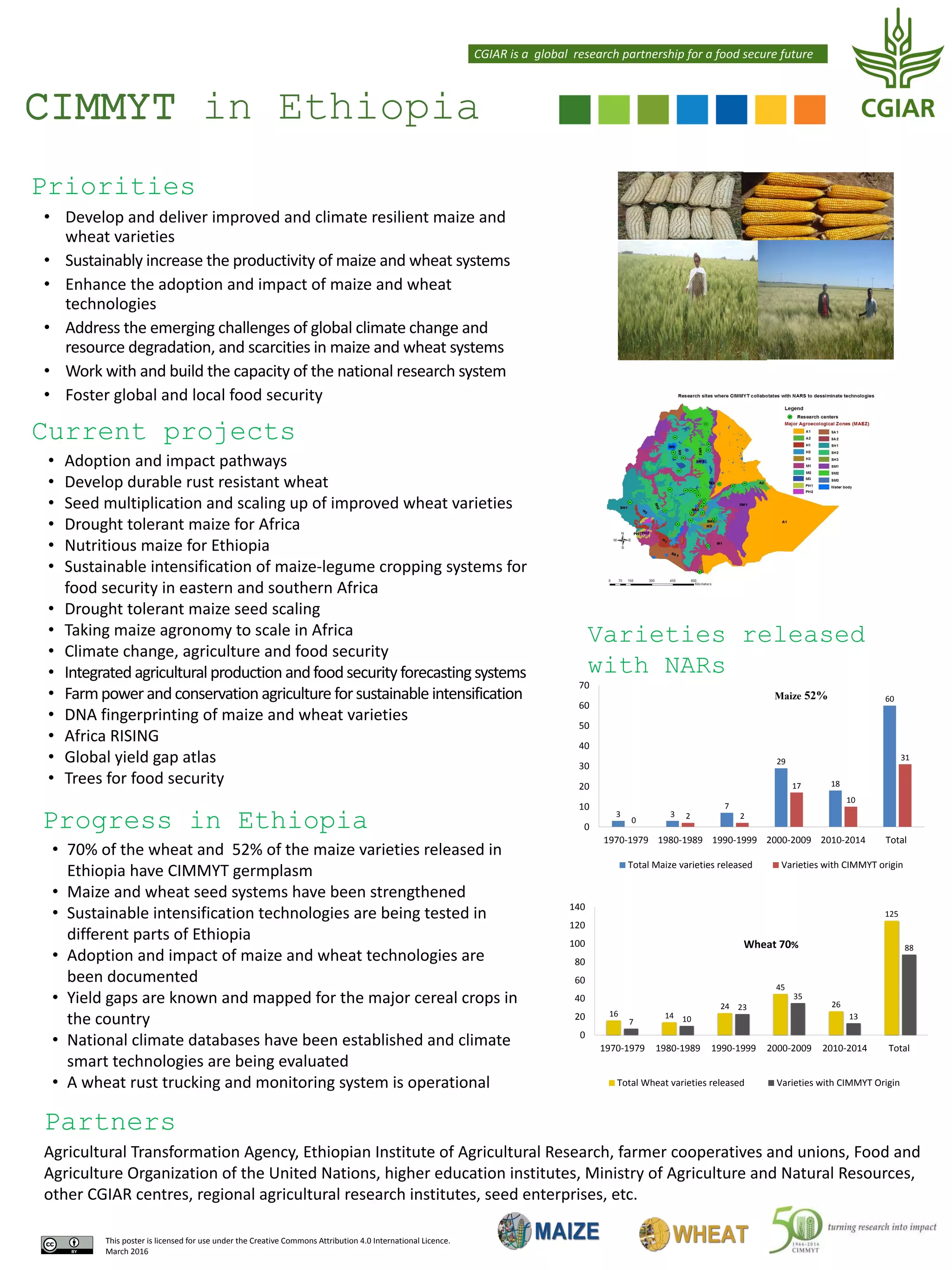 CIMMYT in Ethiopia | PPTX