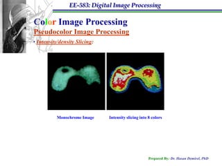 color image processing | PDF