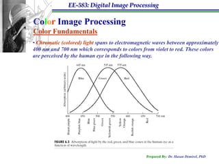 color image processing | PDF