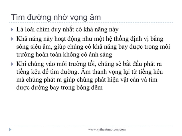 Nhung dac diem cua loai yen | PPT