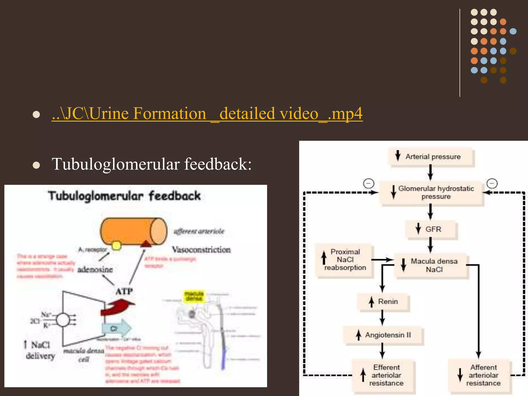 CONTRAST INDUCED NEPHROPATHY(CI-AKI) | PPTX
