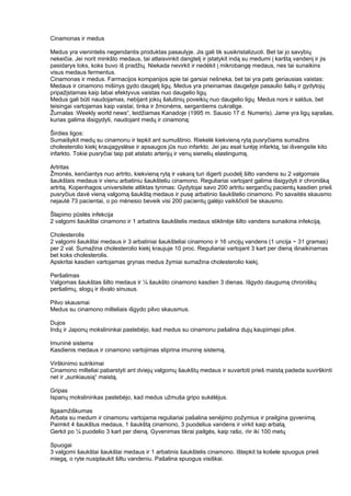 Cinamonas ir medus | DOC