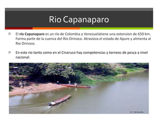 Cinaruco - Capanaparo | PPTX
