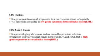 Premalingnant lesions of the cervix, CIN | PPTX