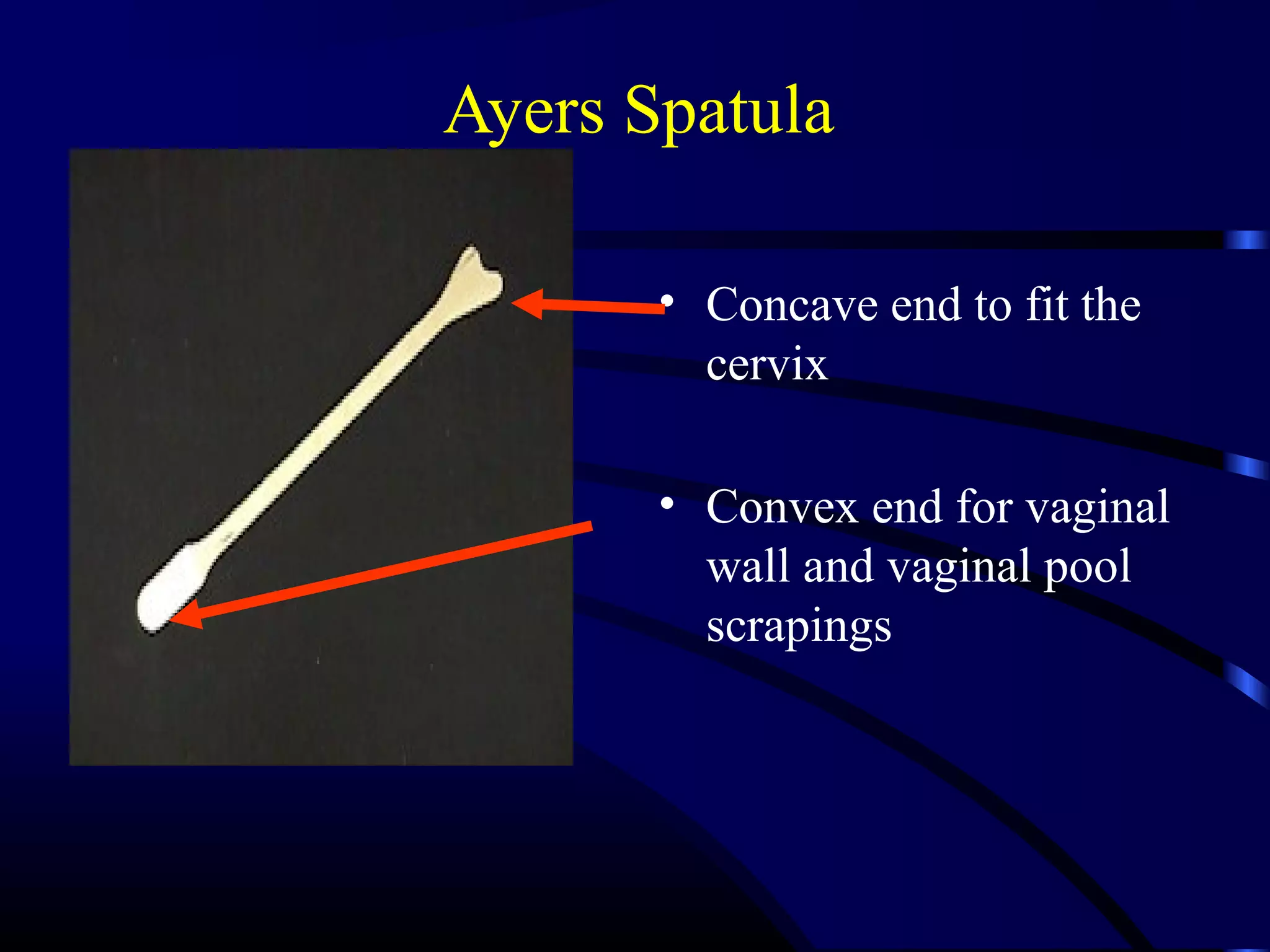 Cin&cancer cervix undergraduate | PPT | Reproductive Health | Diseases ...