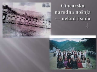 Cincari | PPT