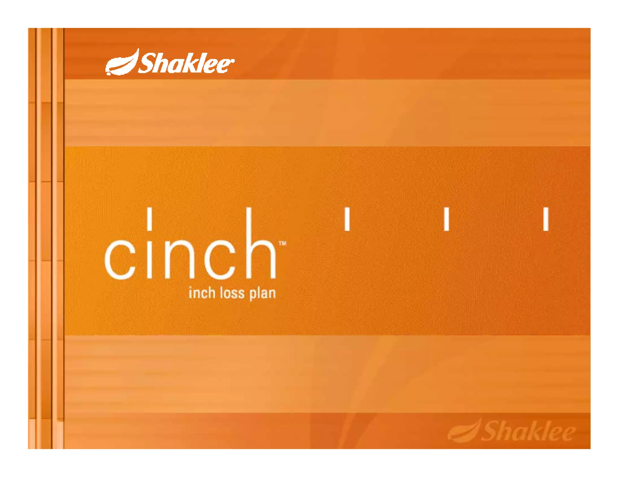 Cinch - Inch Loss Plan | PDF