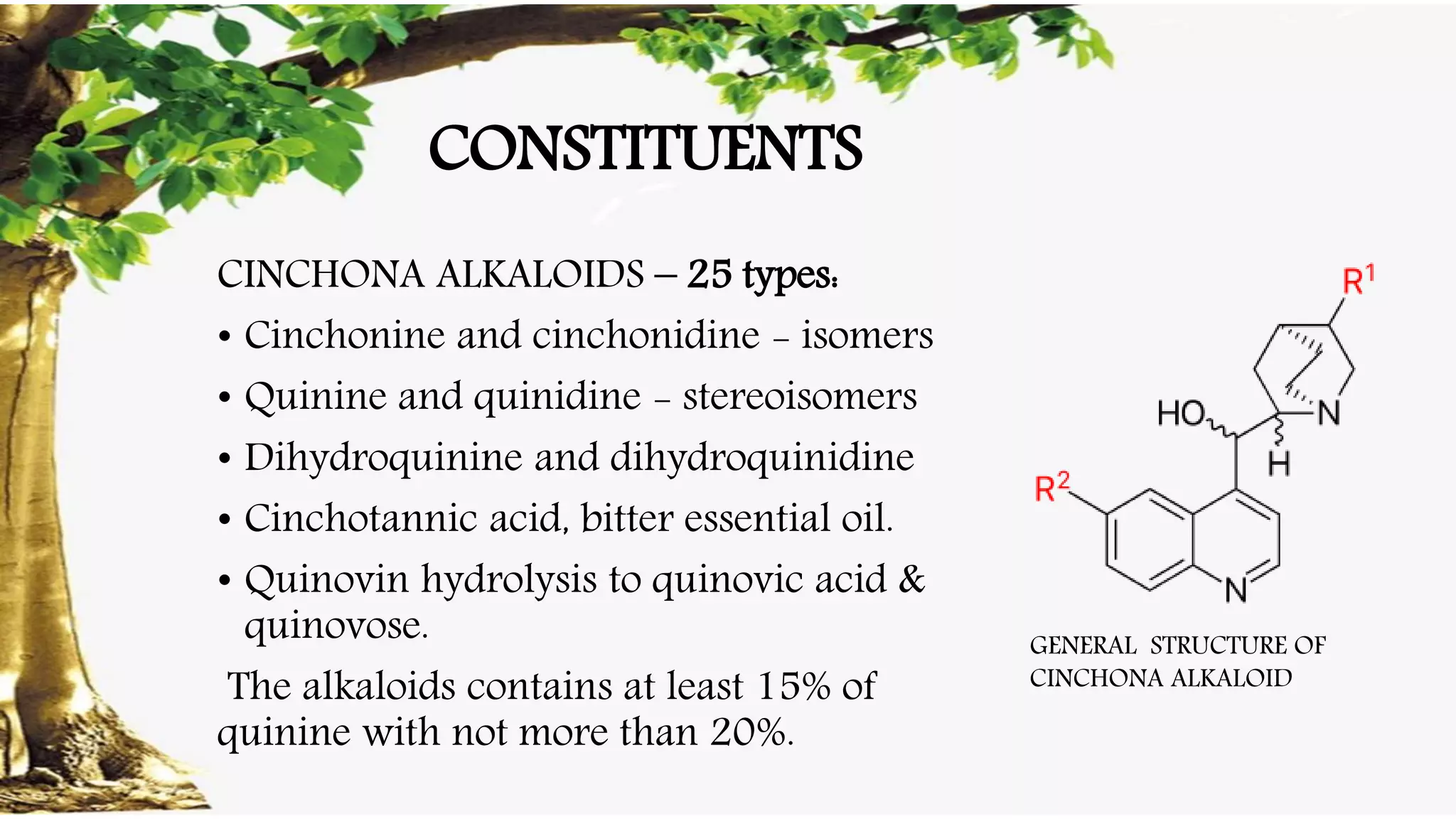 CINCHONA CONSTITUENTS AND USES | PPTX