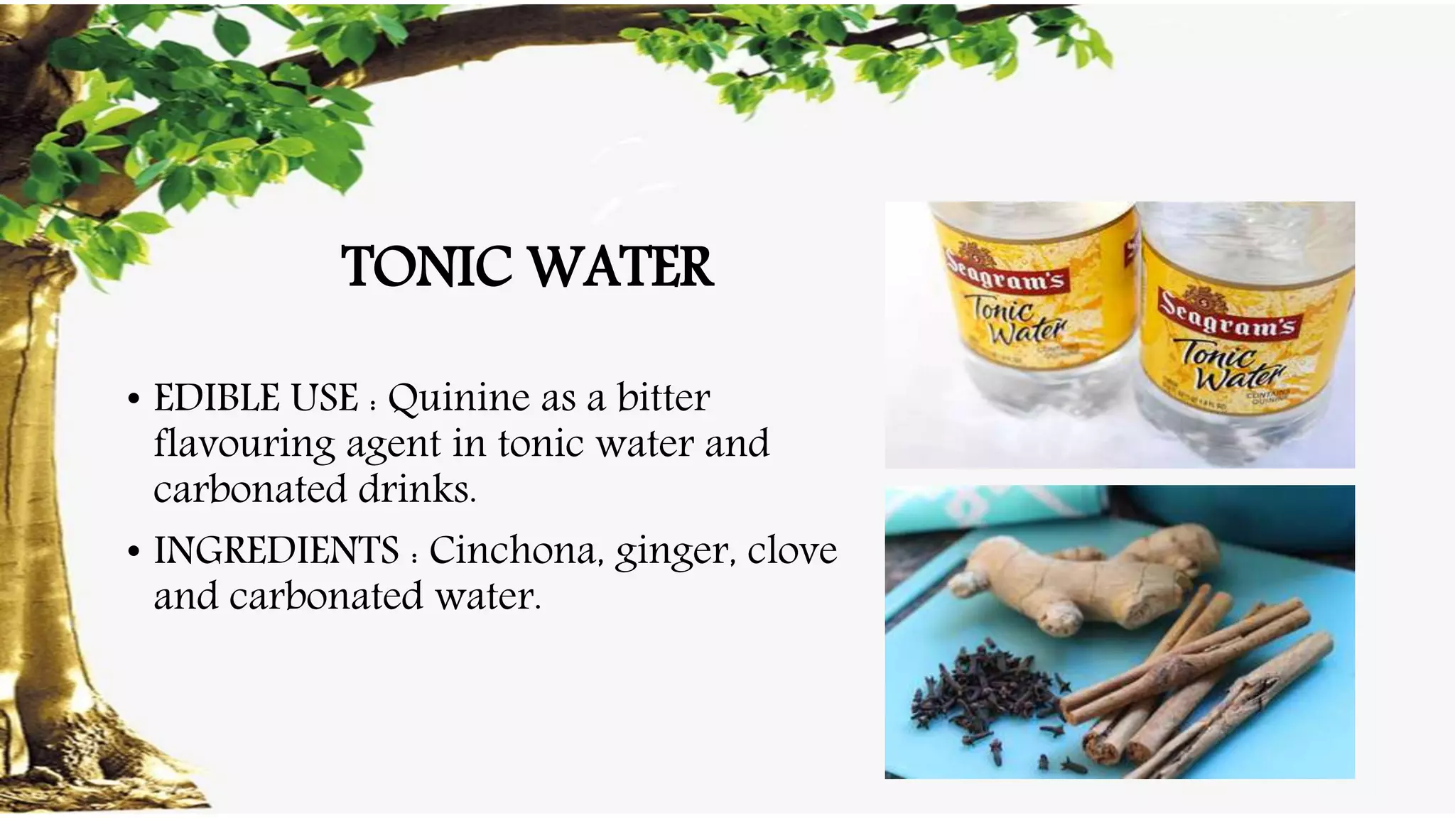 CINCHONA CONSTITUENTS AND USES | PPTX