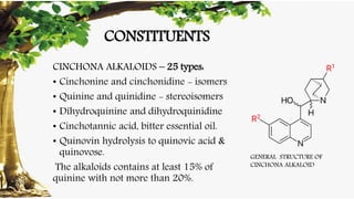 CINCHONA CONSTITUENTS AND USES | PPTX